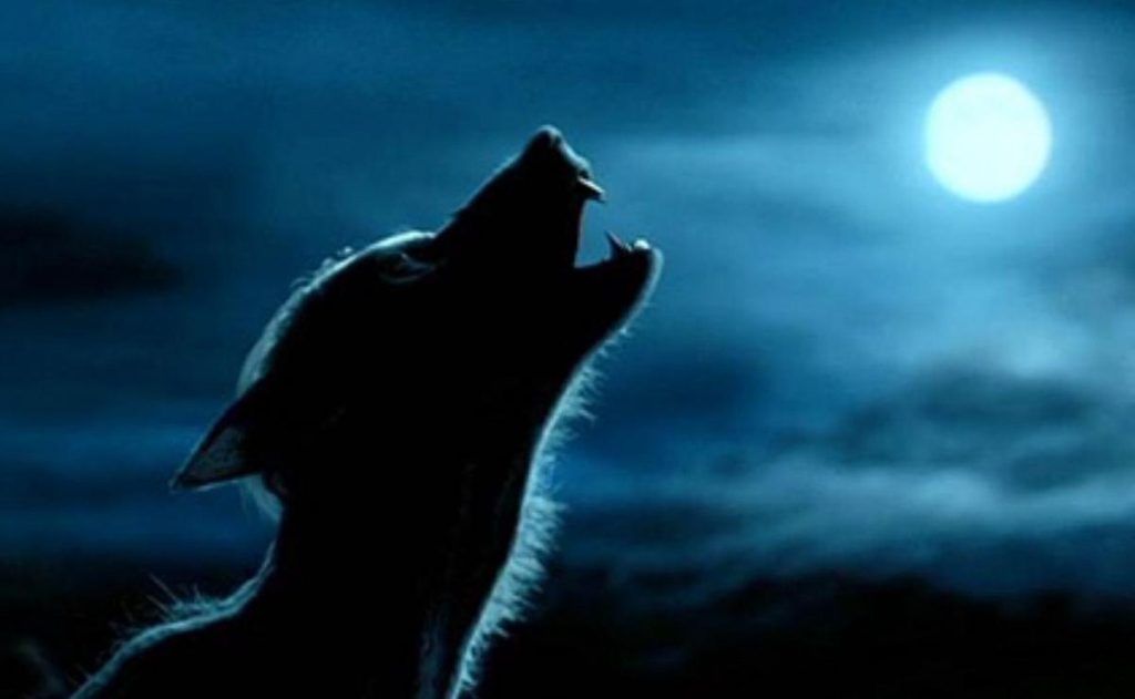 La leyenda del lobizón y el padrinazgo presidencial: presentan proyecto ...