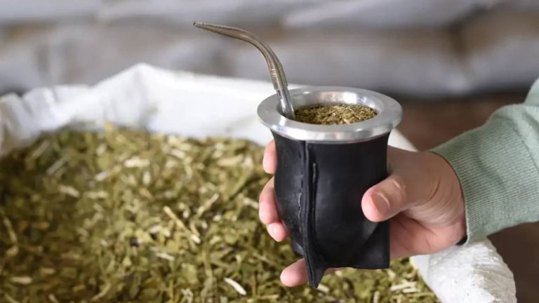 Playadito superó a Las Marías: la yerba mate que rompió una hegemonía ...
