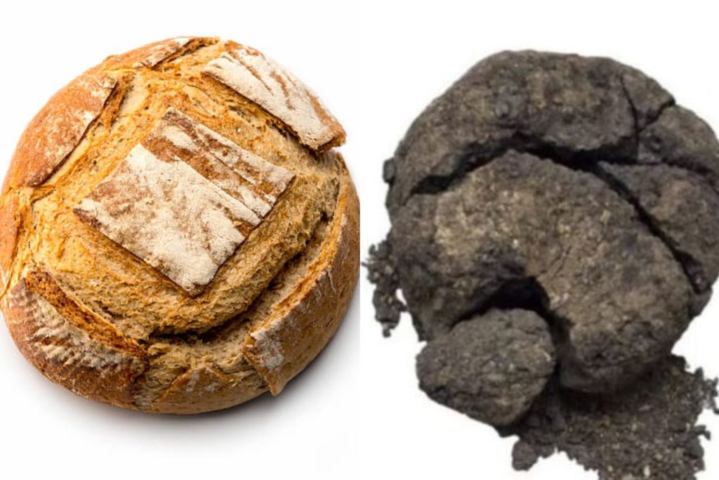Científicos encontraron pan de 8000 años que pone en duda lo que ...