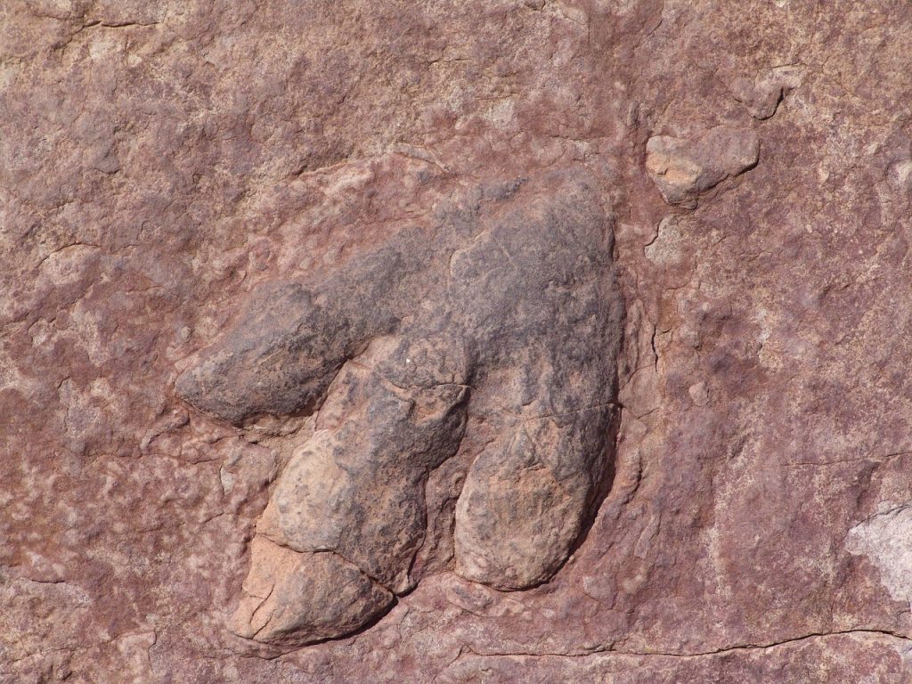 Sin precedentes: encuentran un "dinosaurio con armadura" completamente ...