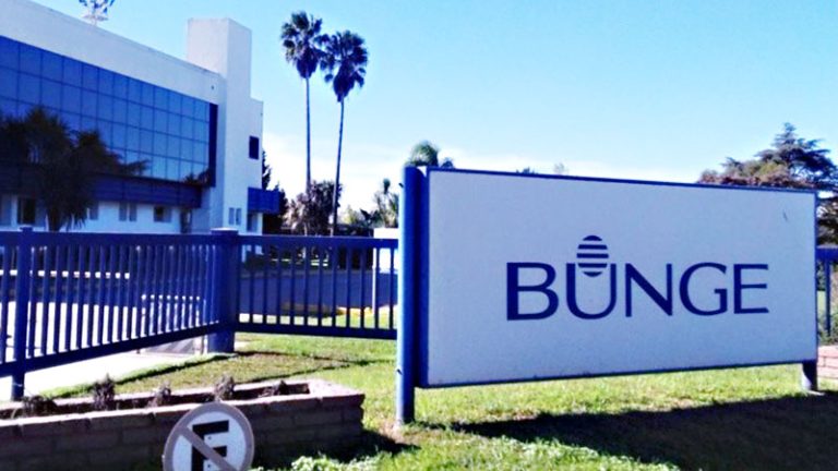 China da luz verde a la fusión Bunge-Viterra: revolución en el comercio ...